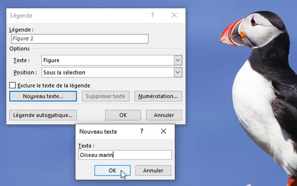 Légender des images dans un document Word